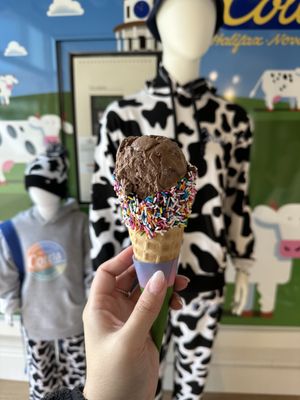 COWS - Updated October 2025 - 91 Photos & 82 Reviews - 1891 Upper Water ...