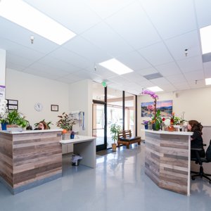 VETERINARY URGENT CARE OF THE DESERT - Updated June 2025 - 29 Photos ...