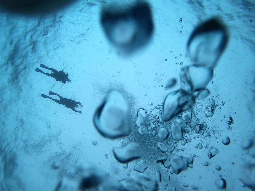 NAUTILUS ADVENTURES - Updated August 2025 - 17 Photos - Rincón, Puerto ...