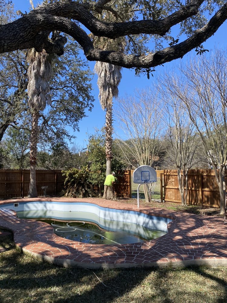 TEAGUE’S TREE SERVICE - Updated February 2025 - 26 Reviews - Universal ...