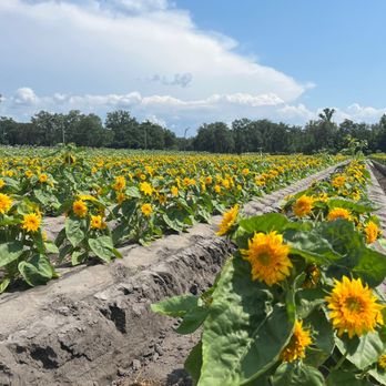 THREE SONS FARM - Updated January 2025 - 51 Photos & 14 Reviews - 3830 ...