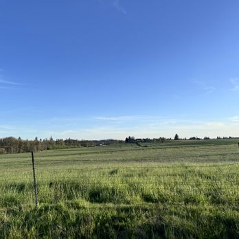 PUMPKIN RIDGE GOLF CLUB - Updated January 2026 - 133 Photos & 50 ...