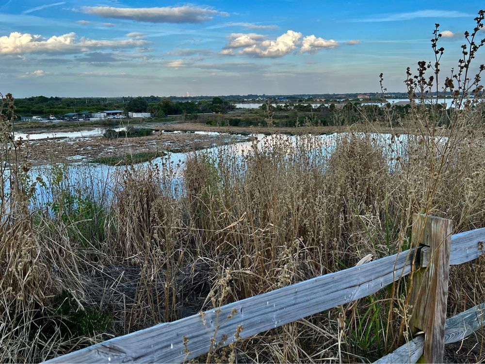 COCKROACH BAY NATURE PRESERVE - Updated December 2025 - 42 Photos ...