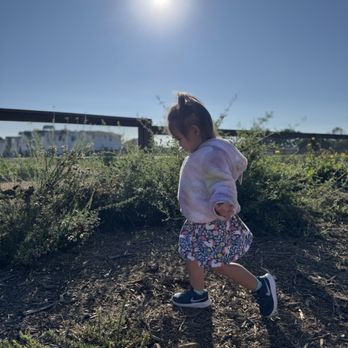 FOX POINT FARMS - Updated March 2025 - 284 Photos & 105 Reviews - 1200 ...