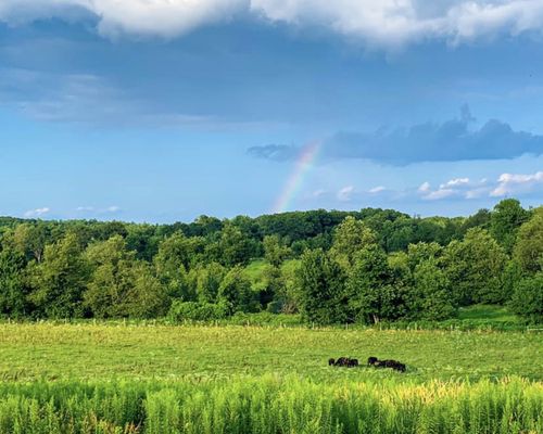 LILAC HEDGE FARM - 12 Reviews - Farmers Market - 216 Wachusett St ...