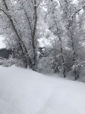 RABBIT EARS MOTEL - 42 Photos & 59 Reviews - Hotels - 201 Lincoln Ave ...