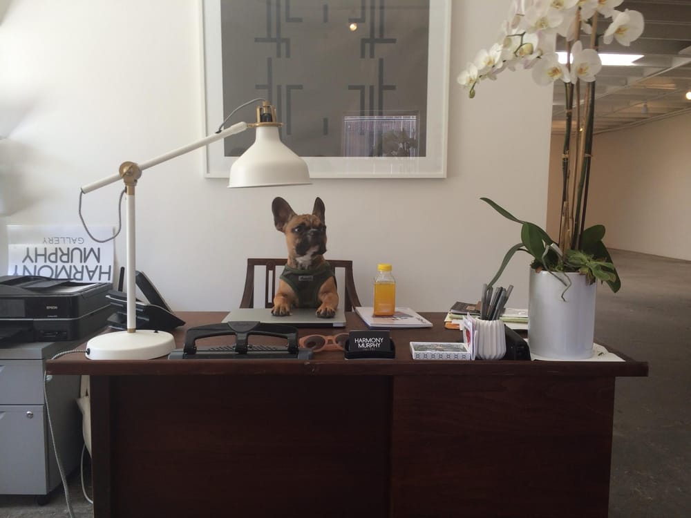 HARMONY MURPHY GALLERY - 358 E 2nd St, Los Angeles, California - Art ...