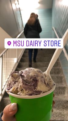 MSU DAIRY STORE - 111 Photos & 186 Reviews - Ice Cream & Frozen Yogurt ...