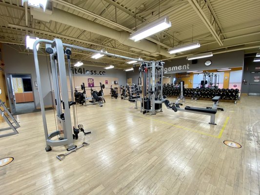 FIT4LESS - Updated September 2025 - 13 Photos - 4270 Innes Road South ...