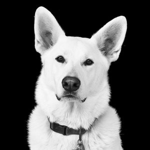 TECOLOTE BOOK SHOP - Updated March 2025 - 12 Reviews - 1470 E Valley Rd ...