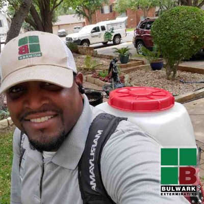BULWARK EXTERMINATING - 37 Photos & 259 Reviews - 10900 Brittmoore Park ...