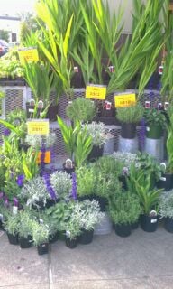 METROPOLITAN MARKET - TACOMA - Updated September 2025 - 404 Photos ...