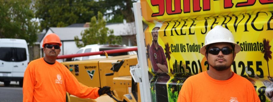 SUNRISE TREE SERVICE - Updated 05/2025 - 12 Photos - 1315 Camellia Dr ...