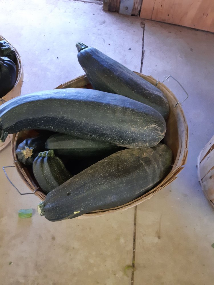 SANDY’S FARM - Updated January 2026 - 4283 King Vaughan Road ...