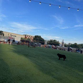 FETCH PARK - Updated June 2025 - 80 Photos & 18 Reviews - 309 Buckhead ...