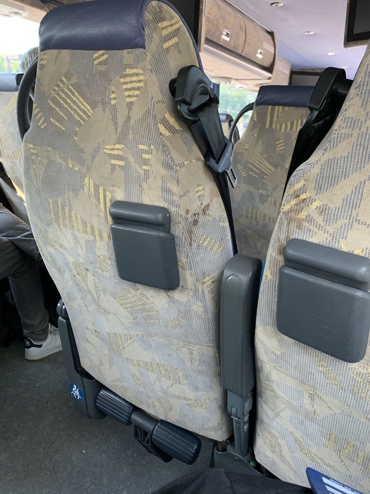 VAMOOSE BUS - 16 Photos & 226 Reviews - 7400 Waverly St, Bethesda ...