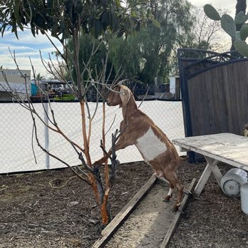 RANCHO LOS FONSECA - Updated January 2026 - 154 Photos & 50 Reviews ...