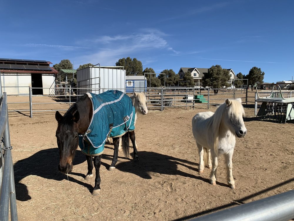 SHOESTRING CITY RANCH - Updated June 2024 - 9066 Cedar St, Phelan ...