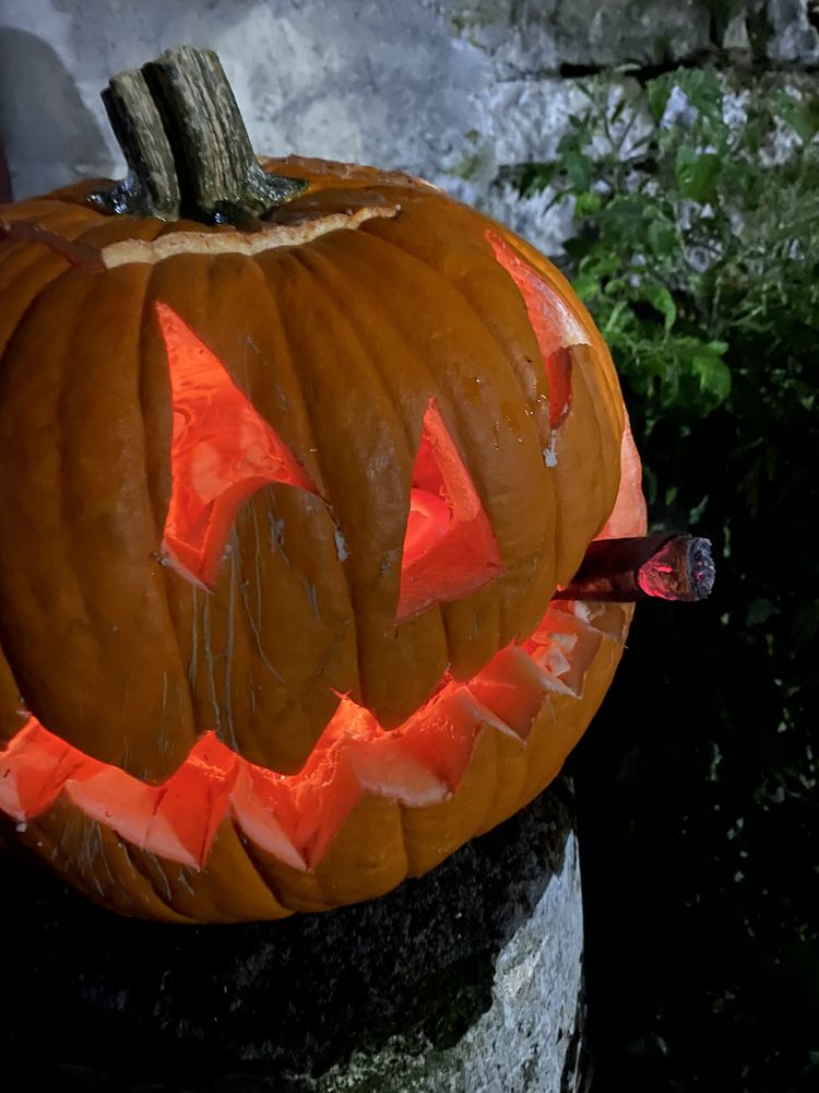 FALLOUT COMICS - Updated October 2025 - 100 Photos & 30 Reviews - 7617 ...