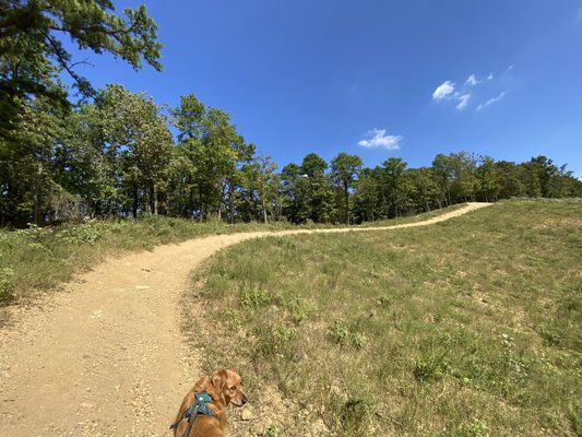 BLUEBERRY HILL TRAIL - 93 Photos & 29 Reviews - Rt 561, Gibbsboro, New ...