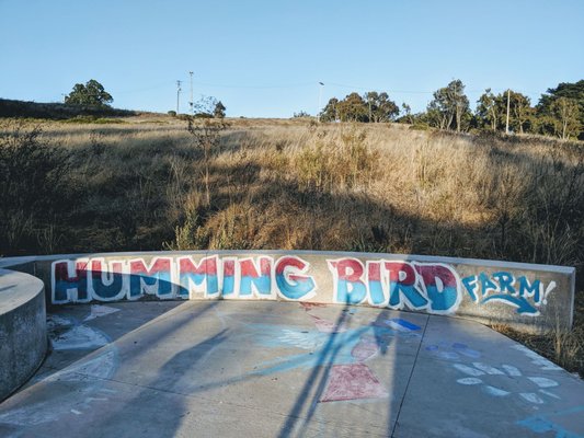 CROCKER AMAZON DOG PARK - Updated October 2025 - 28 Photos & 22 Reviews ...