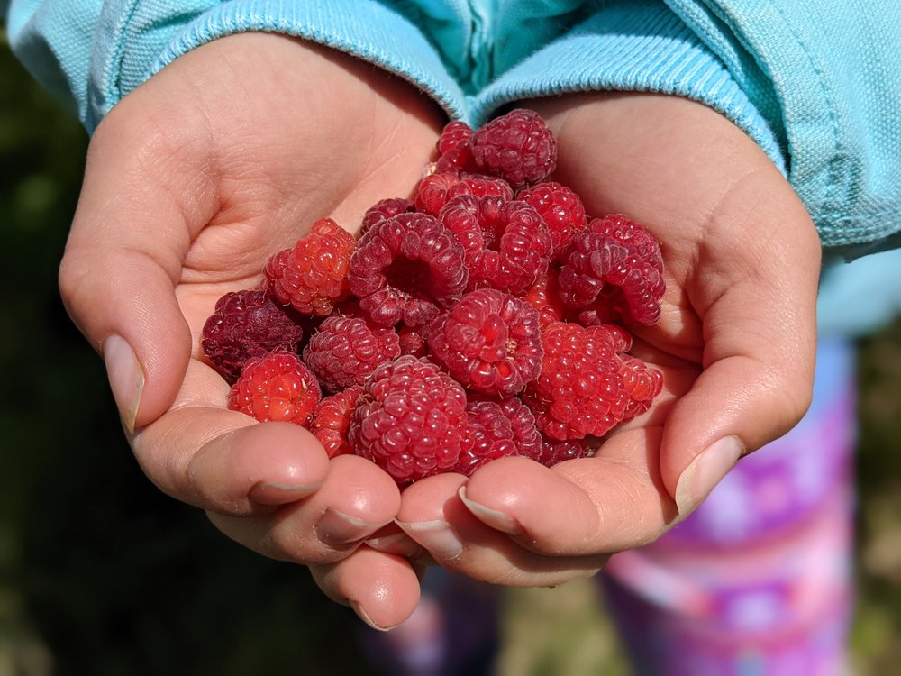 EDENBERRY FARM - Updated June 2025 - 18 Photos - 3036 Stone Dr ...