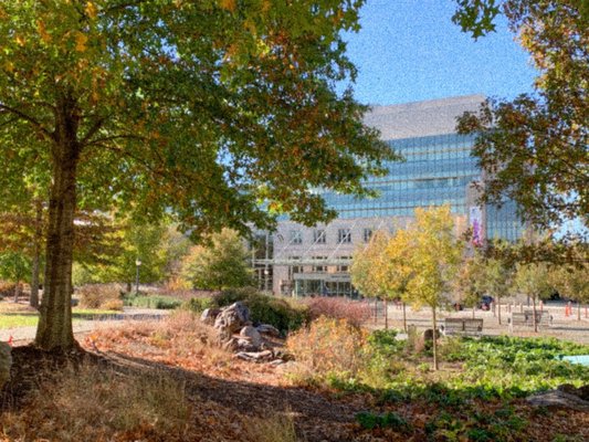 DUKE UNIVERSITY HOSPITAL - Updated December 2025 - 94 Photos & 143 ...