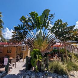 KOOKY COCONUT - Updated April 2025 - 278 Photos & 486 Reviews - 760 ...