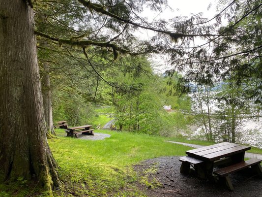 GOLDEN EARS PROVINCIAL PARK - Updated January 2026 - 76 Photos & 33 ...