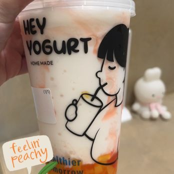 HEY YOGURT - Updated April 2025 - 66 Photos & 37 Reviews - 115 N 9th St ...