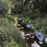 SHIPLEY NATURE CENTER - 274 Photos & 41 Reviews - Parks - 17851 ...