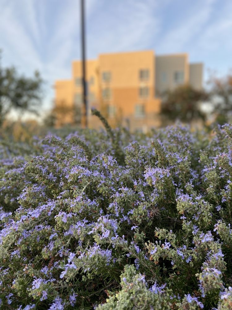 UNIVERSITY PARK INN AND SUITES - Updated December 2025 - 91 Photos & 93 ...