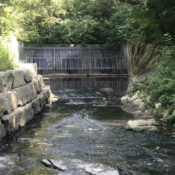 MOORE PARK RAVINE - Updated March 2025 - 137 Photos - 205 Moore Avenue ...