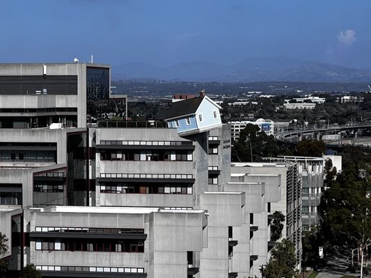 GEISEL LIBRARY - Updated December 2025 - 179 Photos & 75 Reviews - 9500 ...