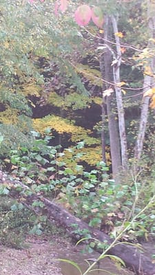 FALLEN ROCK RV PARK & CAMPGROUND - Updated December 2025 - 8816 Fallen ...