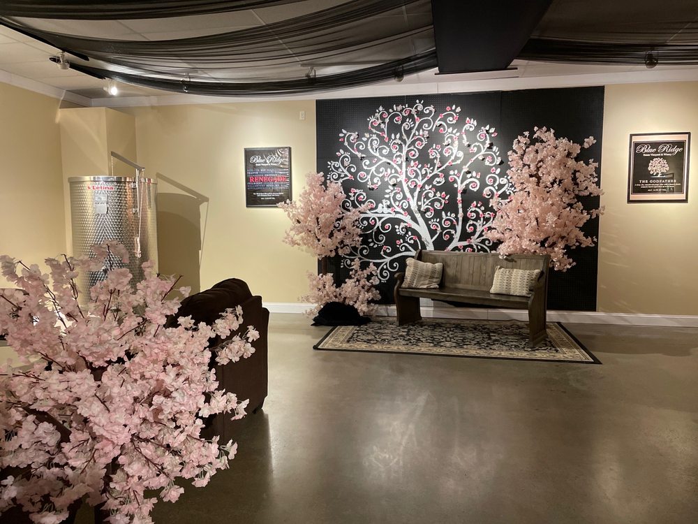 BLUE RIDGE VINEYARD AND WINERY - Updated June 2025 - 40 Photos & 22 ...