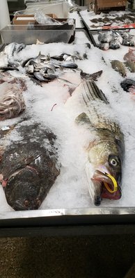 LOS ANGELES FISH COMPANY - 165 Photos & 104 Reviews - 420 Stanford Ave ...