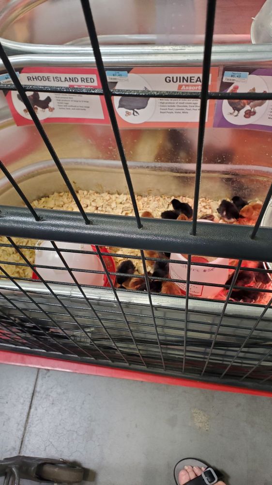 TRACTOR SUPPLY - Updated July 2025 - 20438 State HWY 59, Summerdale ...