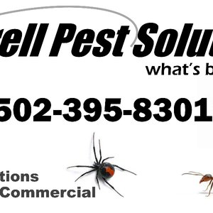 BEE GONE PEST CONTROL - Updated November 2025 - 24 Photos - Lexington ...