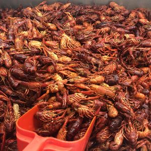 DIP SEAFOOD - MUDBUGS - 35 Photos & 30 Reviews - Seafood Markets - 1870 Dauphin Island Pkwy ...