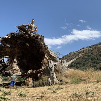 Fort Tejon State Historic Park - 183 Photos & 39 Reviews - Landmarks ...