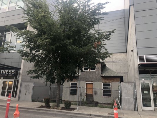 EDITH MACEFIELD’S HOUSE - 78 Photos & 40 Reviews - 1438 NW 46th St ...