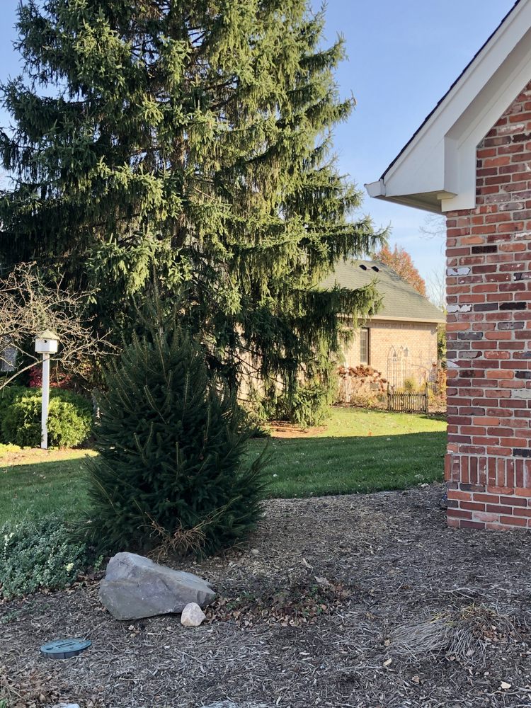 ROGERS TREE SERVICE & LANDSCAPING - Updated December 2025 - 82 Photos ...