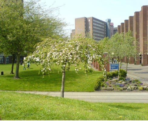 ASTON UNIVERSITY - Updated July 2025 - Aston Triangle, Birmingham ...