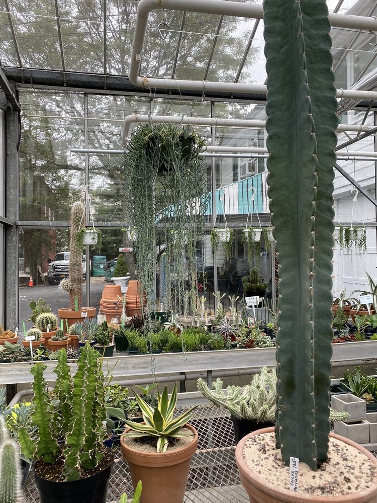 ROSE HILL NURSERIES - Updated August 2025 - 57 Photos & 24 Reviews ...