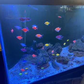FLOATING SEA AQUATICS - Updated January 2025 - 238 Photos & 49 Reviews ...