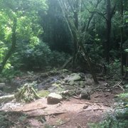 JUDD TRAIL - 344 Photos & 97 Reviews - Nuuanu Pali Dr, Honolulu, HI - Yelp