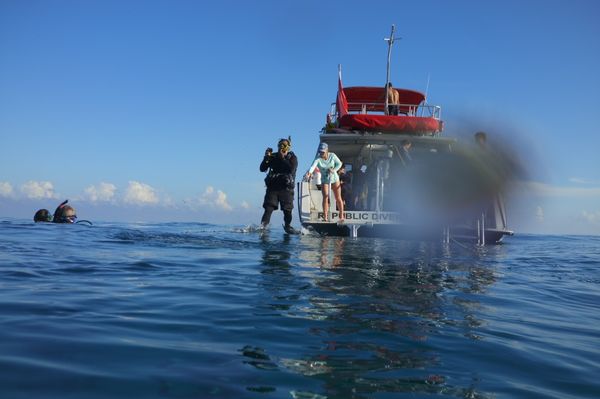 CONCH REPUBLIC DIVERS - Updated July 2025 - 93 Photos & 54 Reviews ...