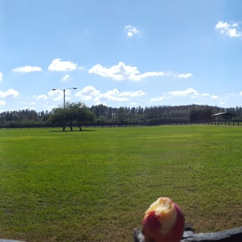 AVALON STABLES - Updated January 2026 - 44 Photos - 18029 Lake ...