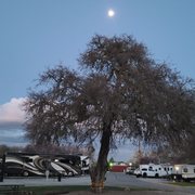 PASO ROBLES RV RANCH & CAMPGROUND - 20 Photos & 63 Reviews - RV Parks ...